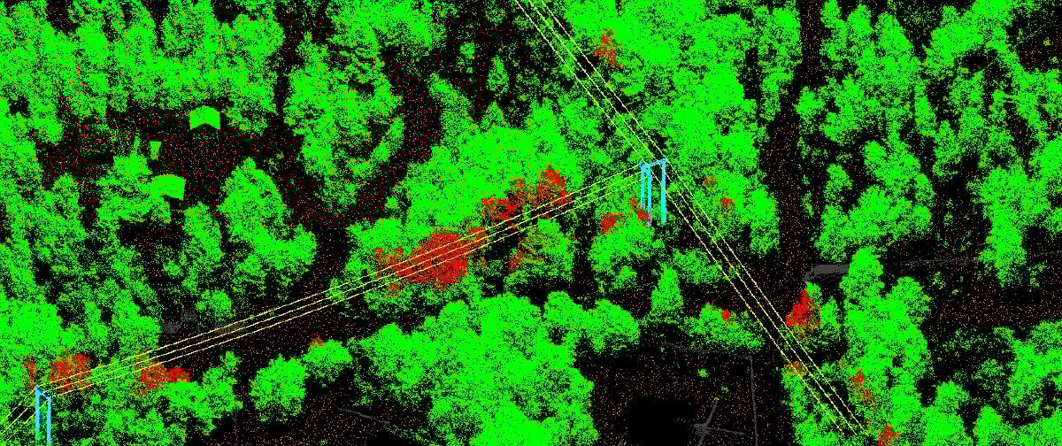 Importance of Vegetation Management for Power Lines - Magnasoft